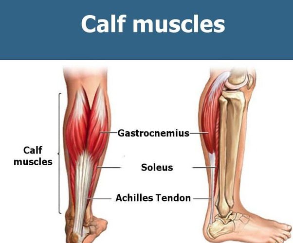 Calf Strain Sydney Physiotherapy